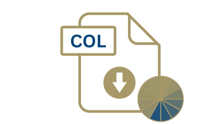 Cem-Coat® Plus Cementitious Coating - Brickform